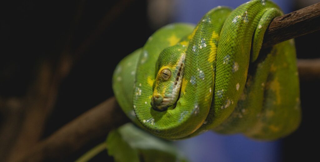 Getting Started with Python Getting Started with Python