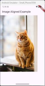 Flutter: Align Widget