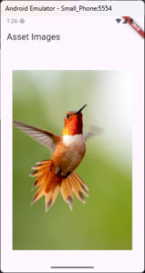 Flutter: Displaying Asset Images