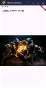 Flutter: Displaying Internet Images