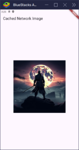 Flutter: Displaying Internet Images
