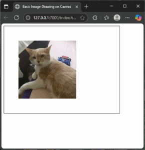 JavaScript Canvas: Drawing Images